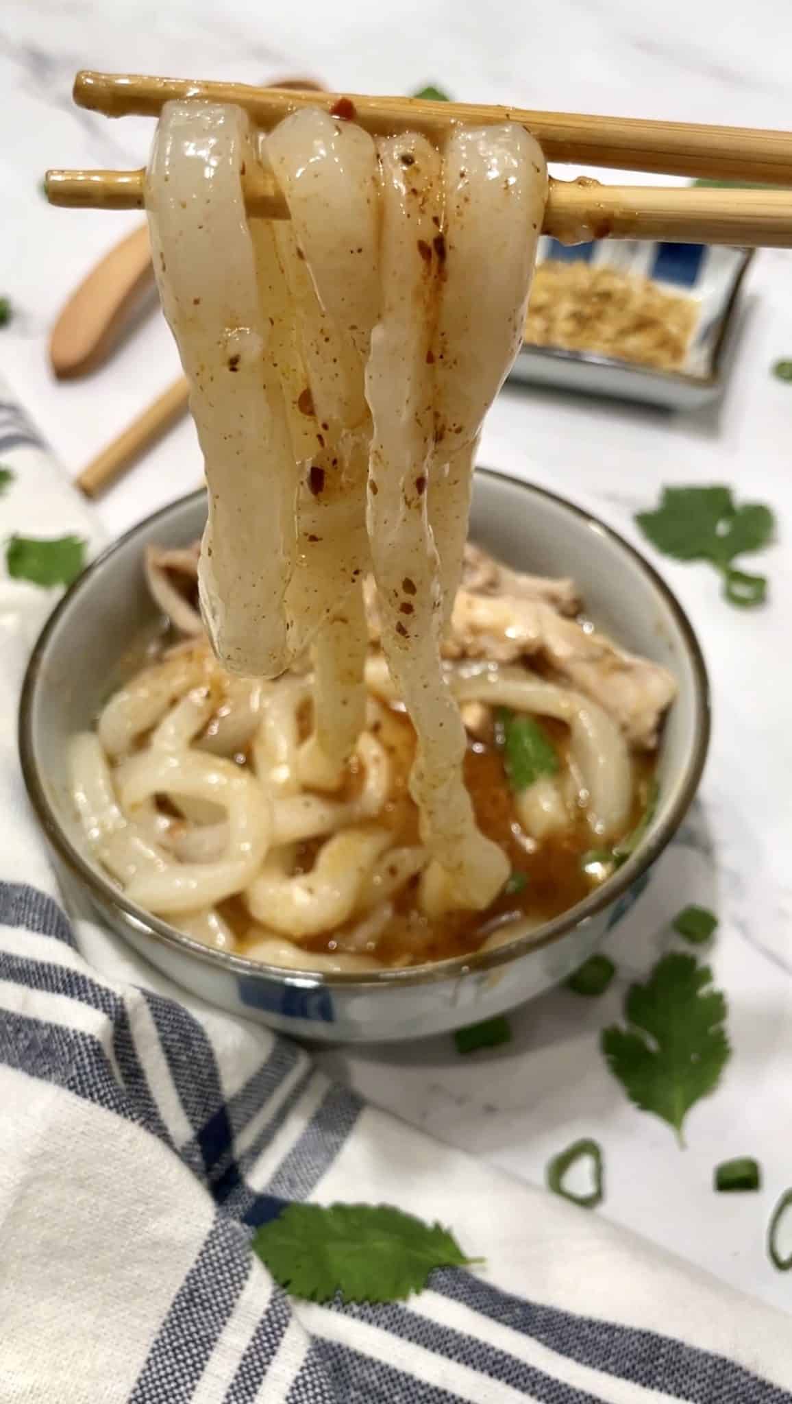 The Best Khao Piak Sen - Easy Lao Chicken Noodle Soup – The Savory ...