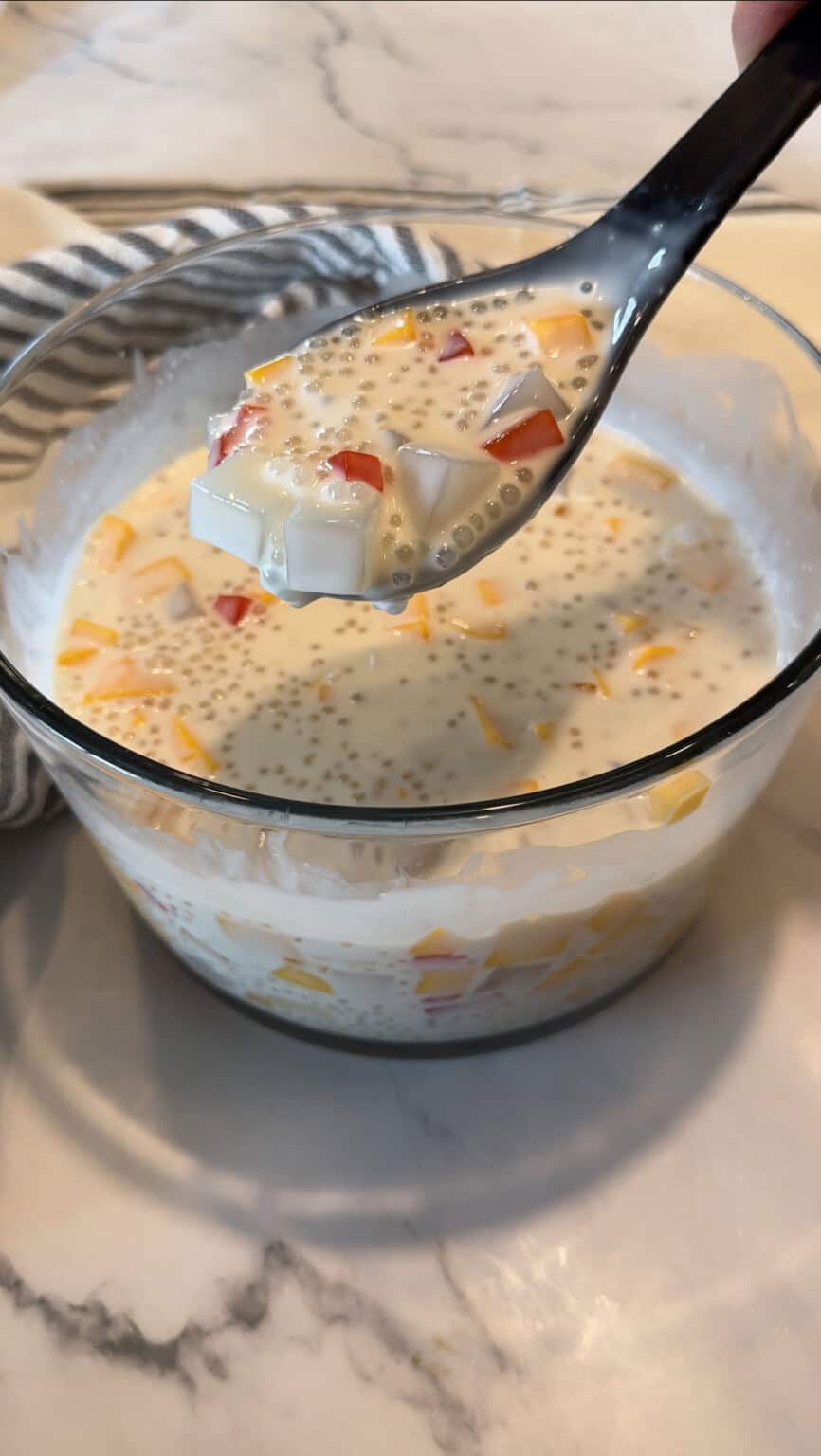 The Best Mango Sago Tapioca Dessert Recipe | Nata de Coco – The Savory ...